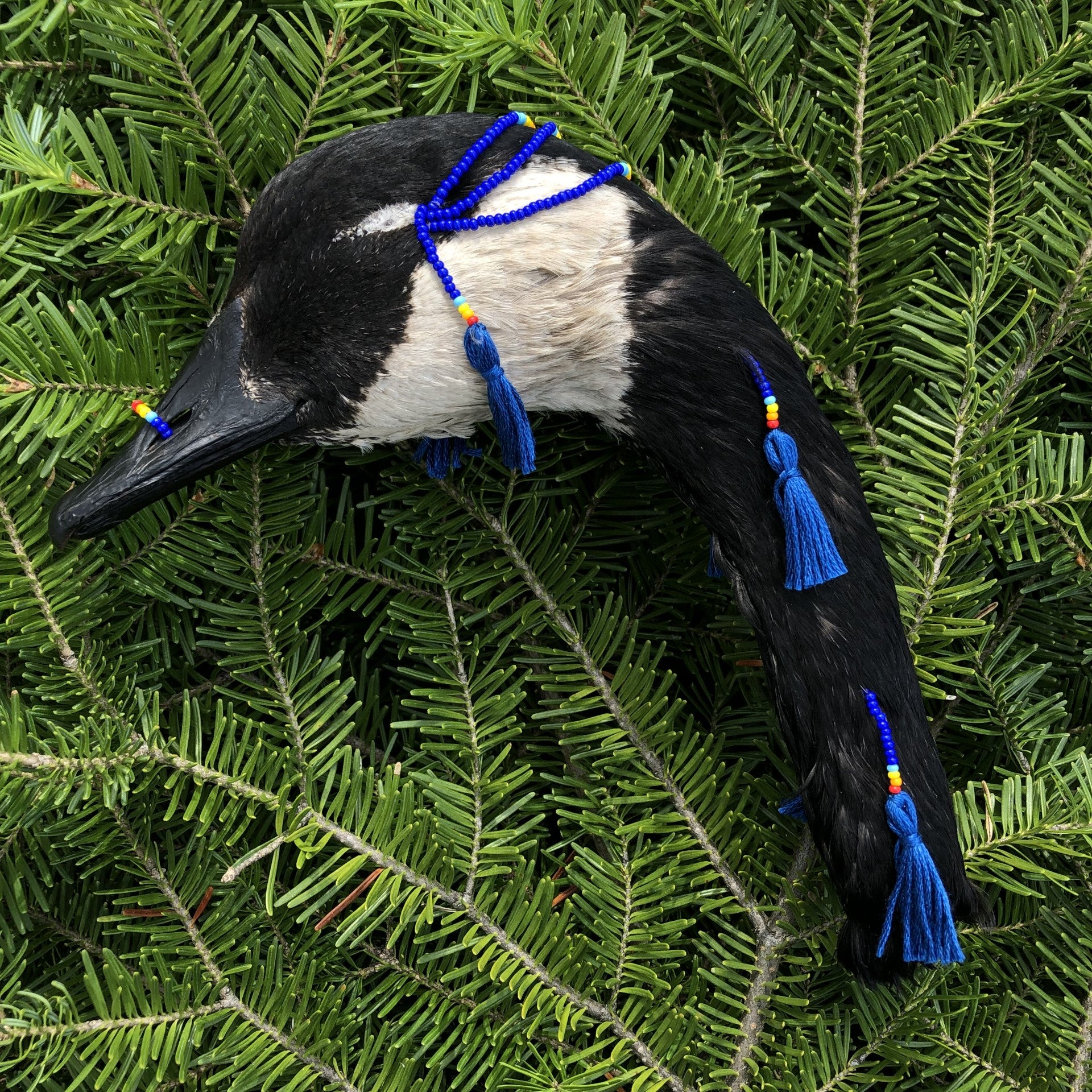 Gallery – Fast Cloud Inspirations