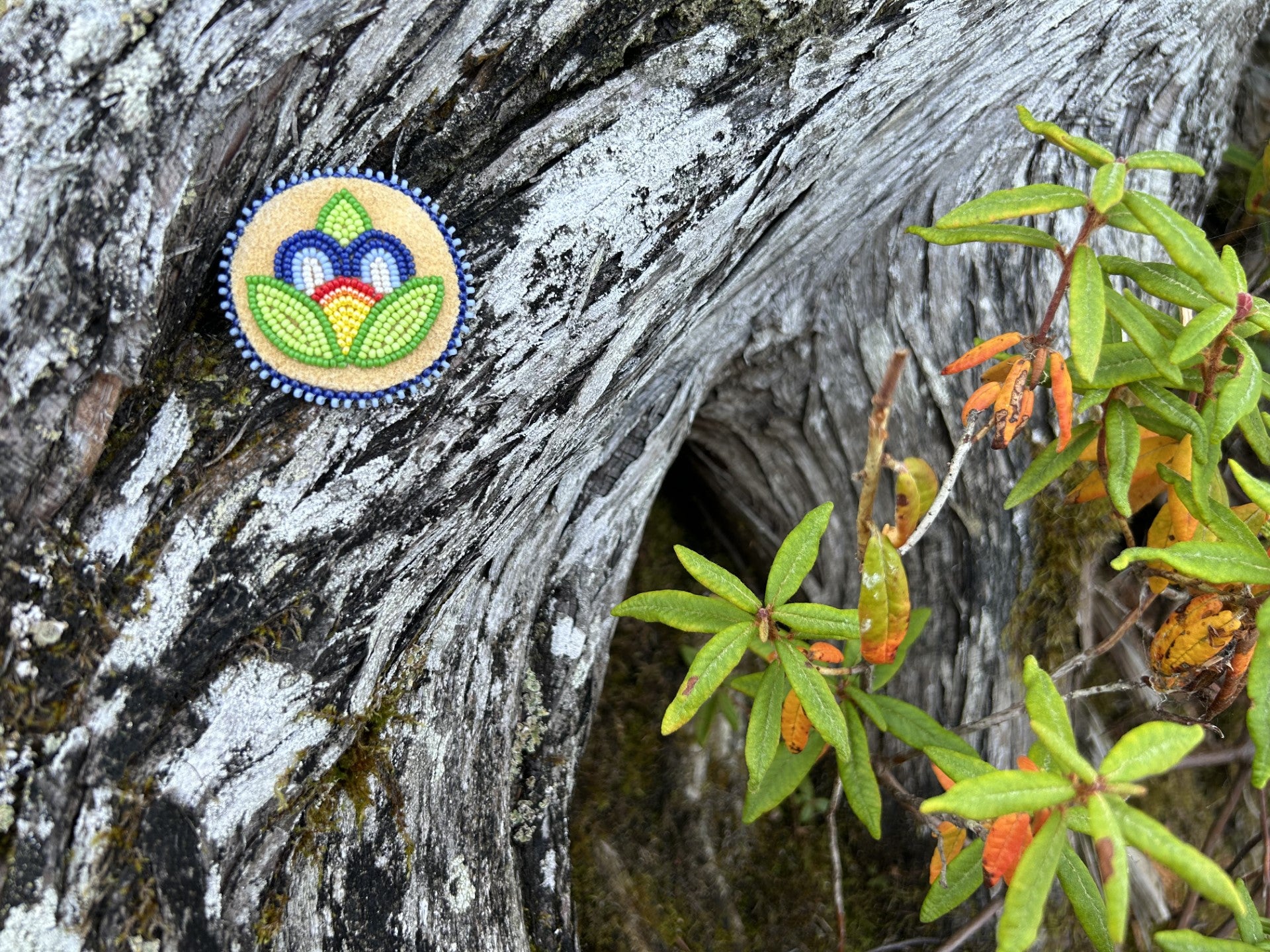 Gallery – Fast Cloud Inspirations