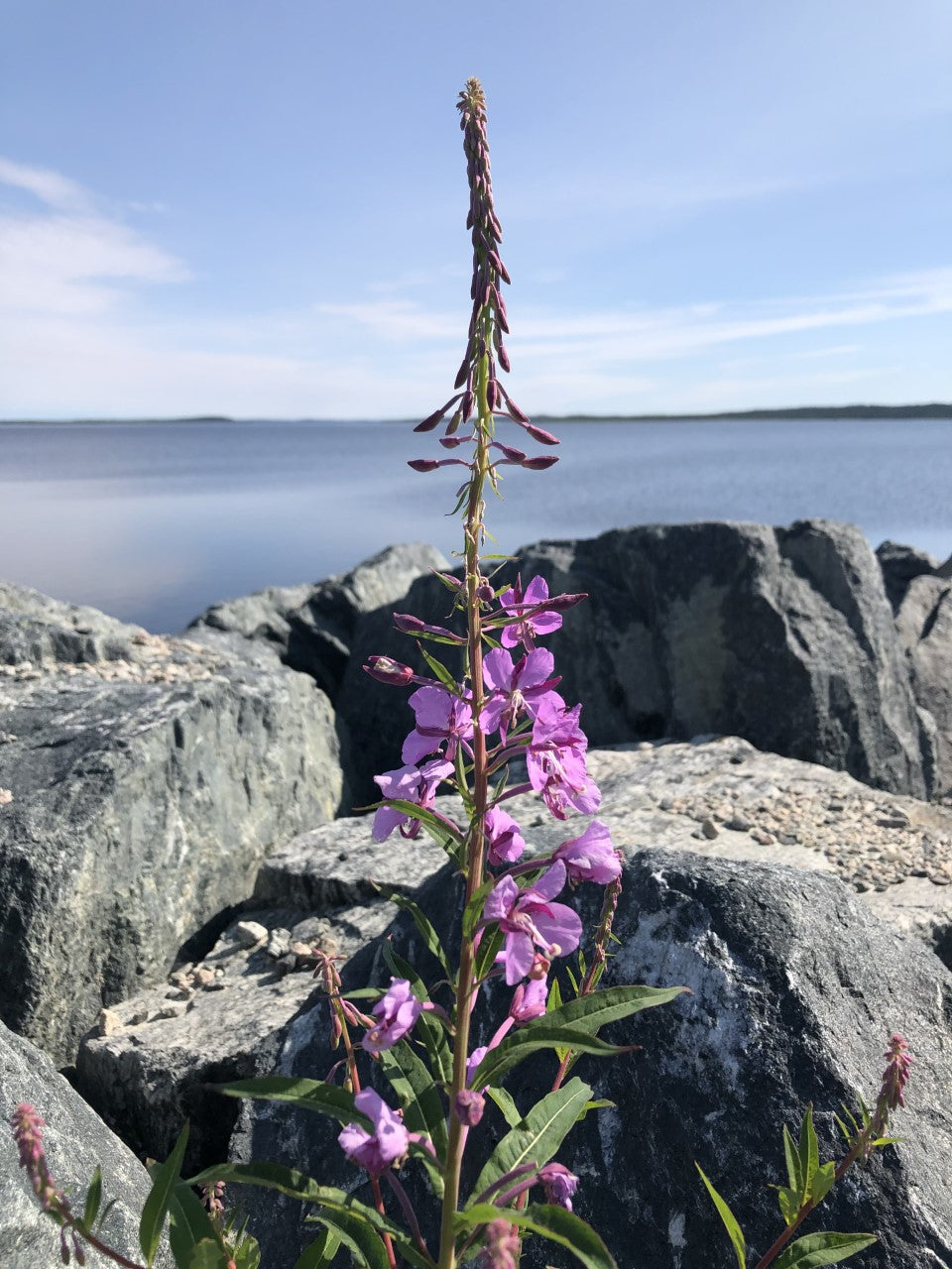 Products – Fast Cloud Inspirations